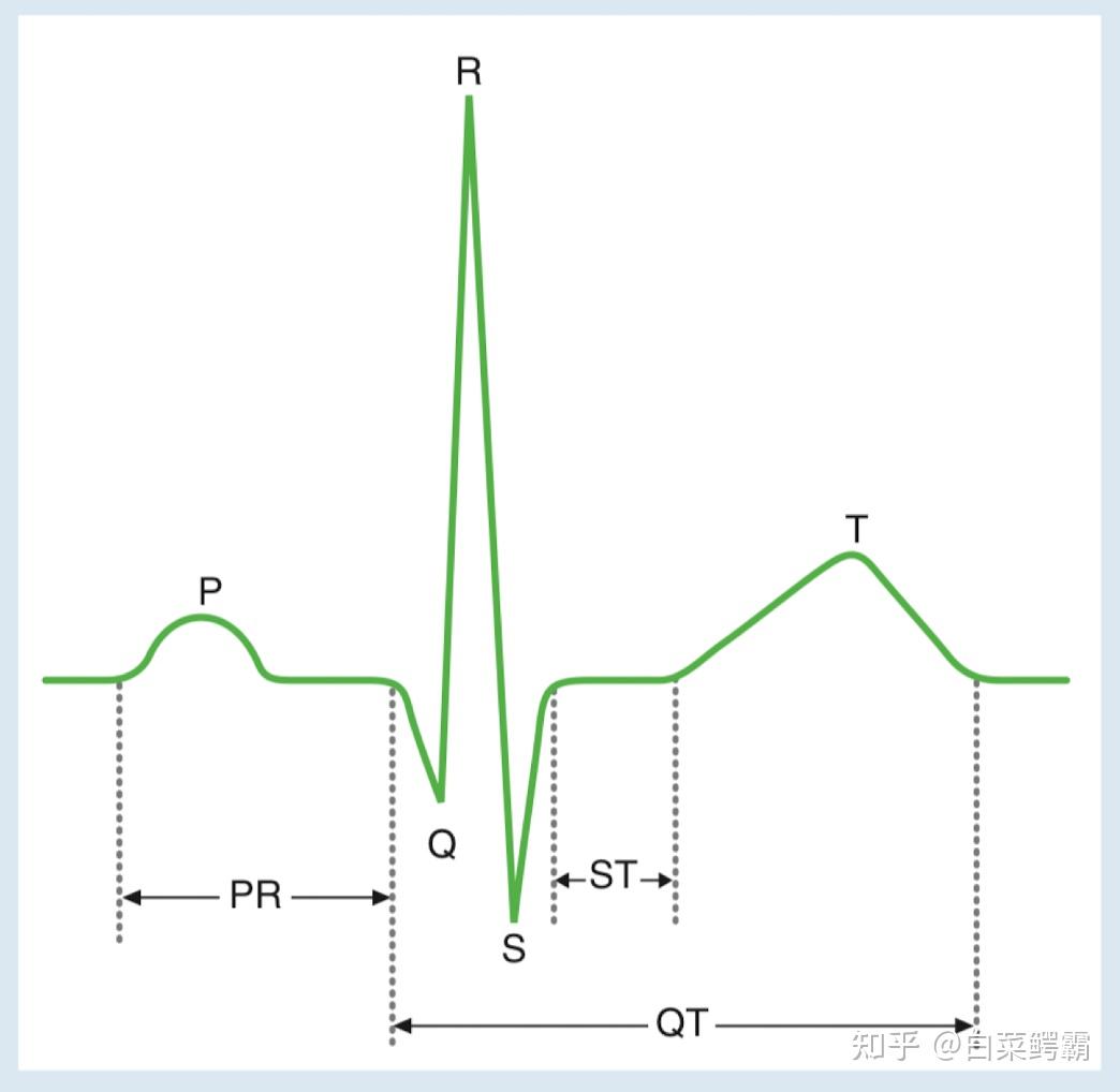 心血管系统｜心电图基础 ECG / Electrocardiography - 知乎