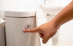 Blush vs Flush的区别（容易混淆） - 知乎