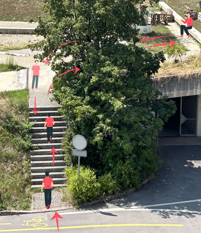 【20250105】Auke Ijspeert团队论文：适用于外骨骼机器人多种运动模式过渡状态的在线检测算法 - 知乎