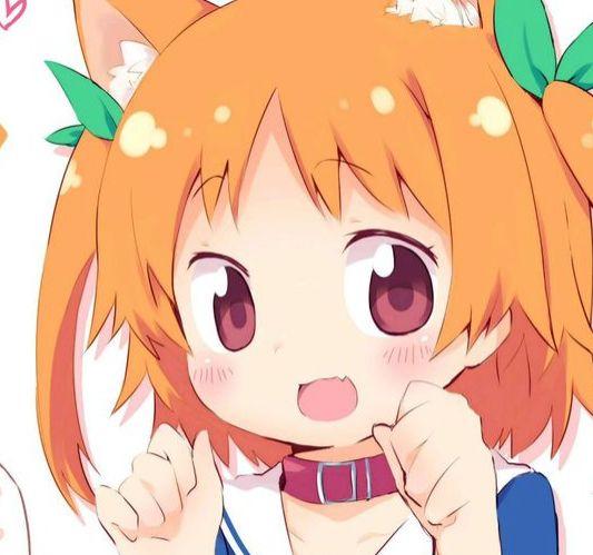 【Python Package】mpmath学习笔记（1） - 知乎