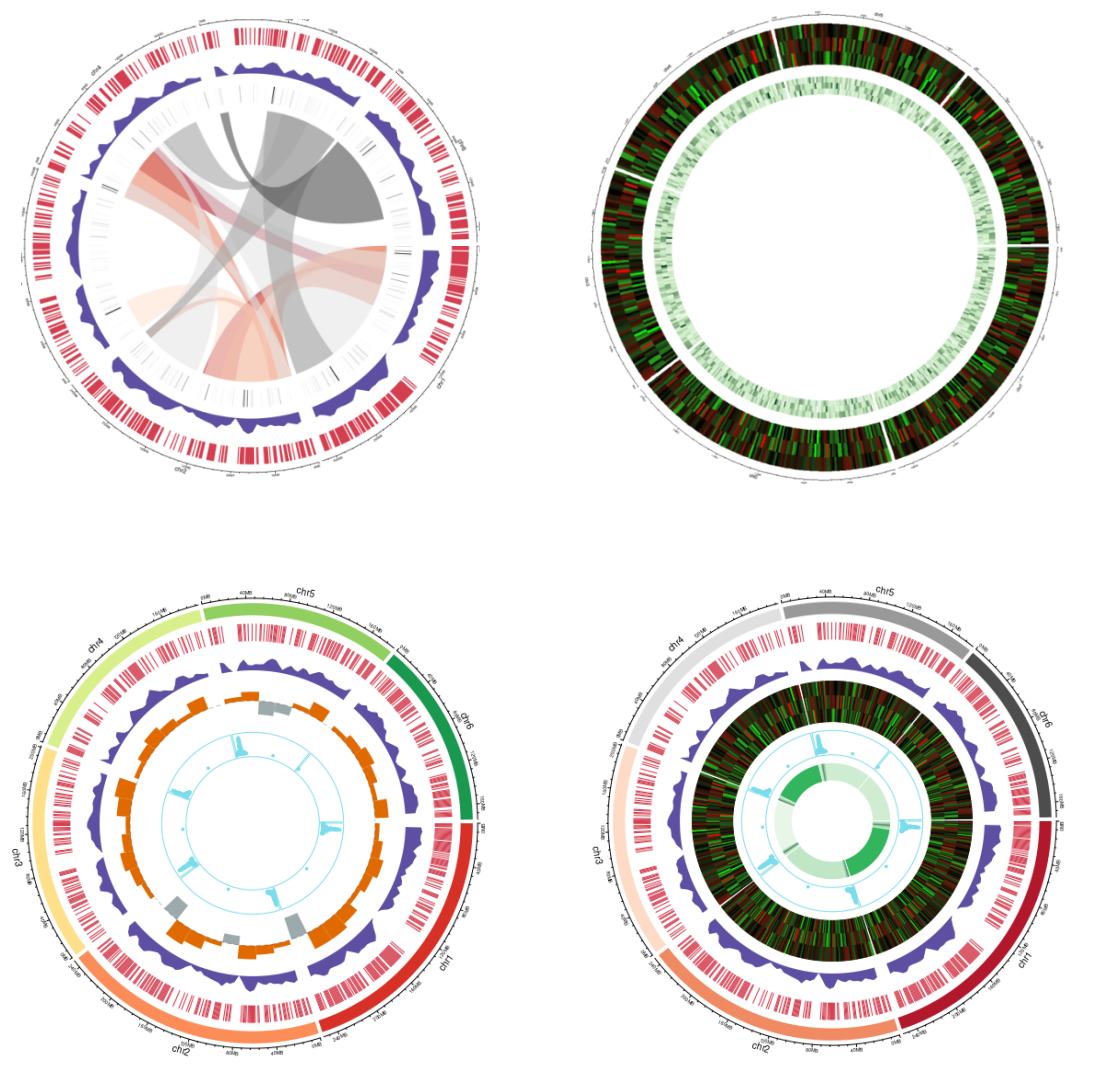 如何绘制Circos和弦图？（附视频） | OmicStudio - 知乎
