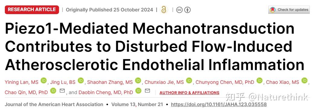 Piezo1 介导的机械转导导致血流紊乱诱导的动脉粥样硬化内皮炎症 - 知乎