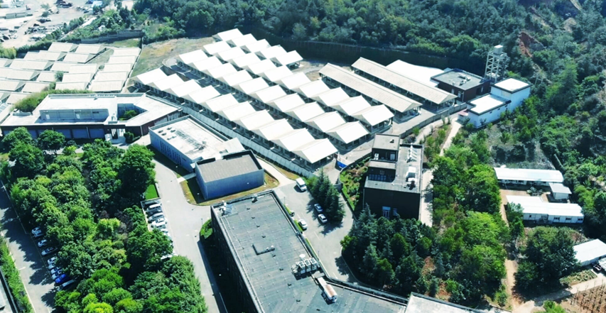 NHP ePPND试验的挑战及应对策略 - 知乎