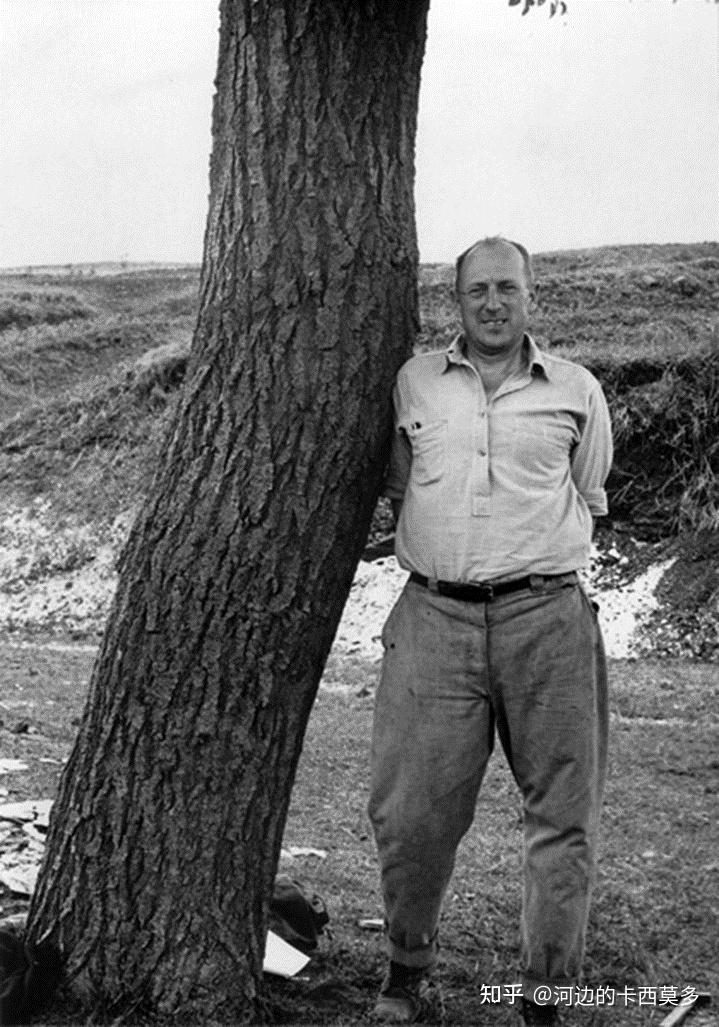 水杉是如何被发现的