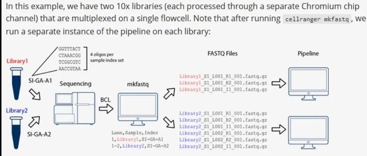 SCS【2】单细胞转录组 之 cellranger - 知乎