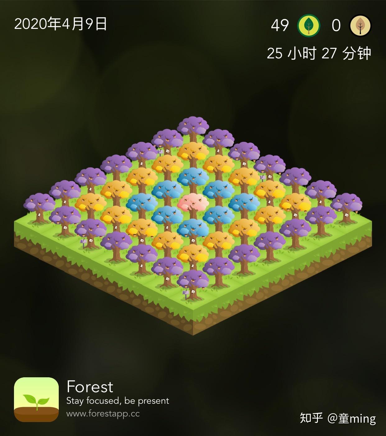 用forest种树怎样搭配最好看？ - 知乎