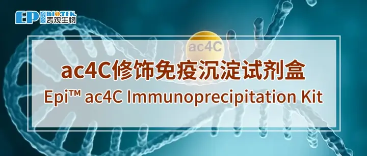Epi™ ac4C Immunoprecipitation Kit，RNA乙酰化修饰研究利器 - 知乎