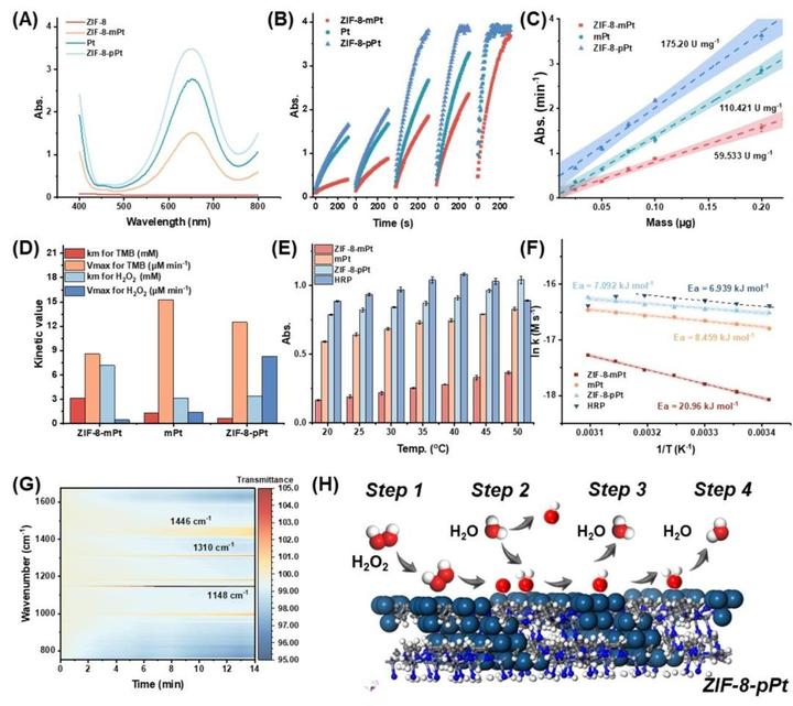 福大「洪堡学者」唐点平团队，最新Angew！ - 知乎