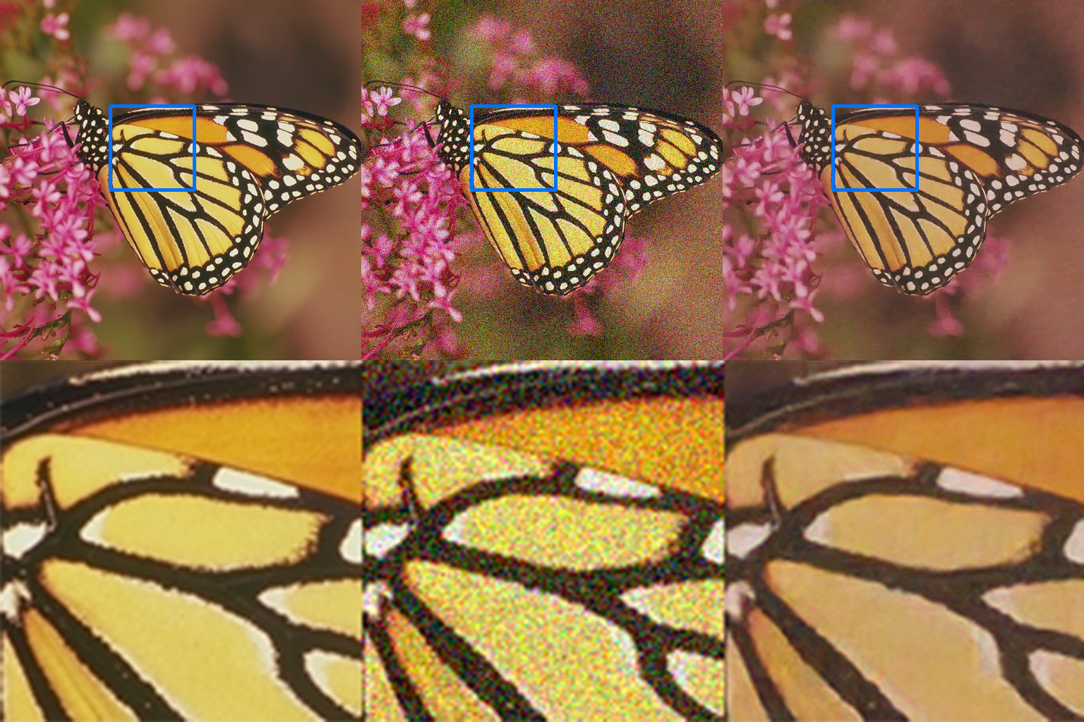 Pytorch深度学习：使用SRGAN进行图像降噪 - 知乎