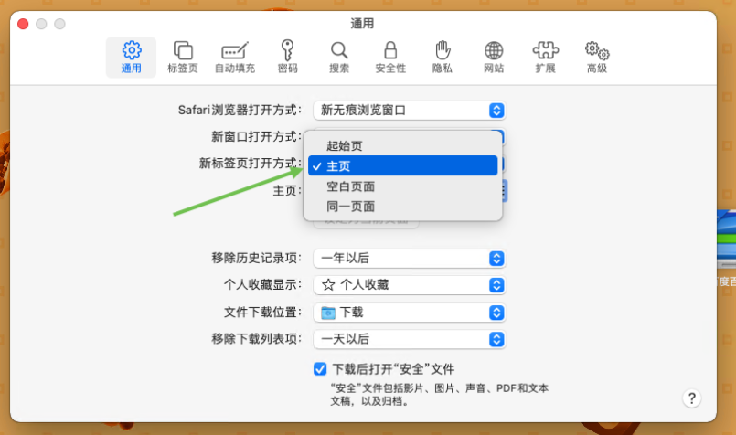 苹果 mac Safari 浏览器如何将 FUYEOR 简明导航设为主页 - 知乎