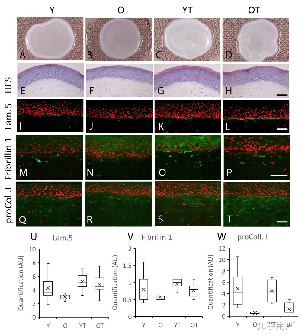 兰蔻塑颜紧致霜 （原雪花霜）好用吗？ - 知乎