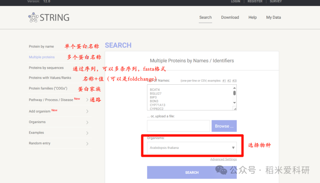 STRING数据库-蛋白相互作用网络分析 - 知乎