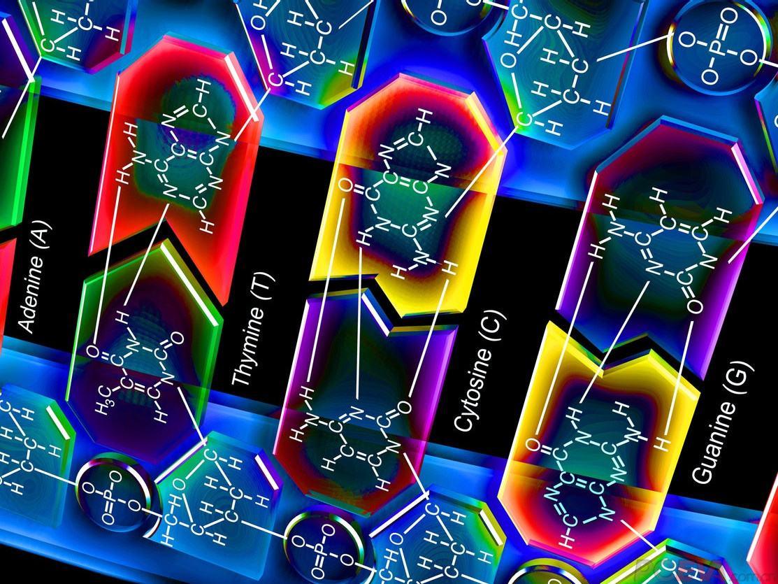 十分钟教你看懂第一张DNA照片 - 知乎
