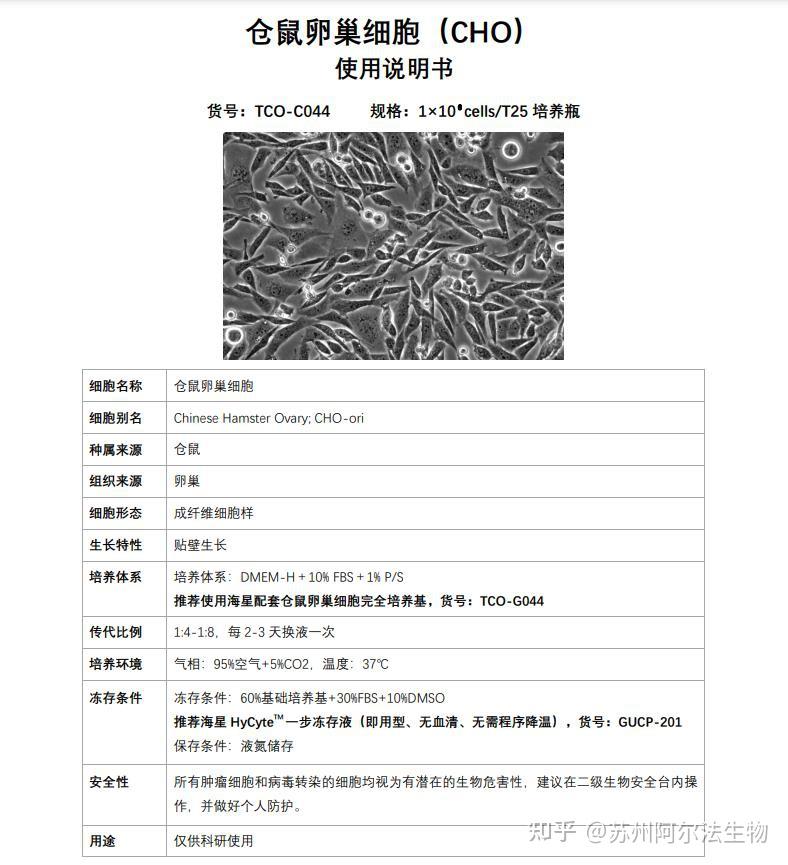 CHO细胞培养抗体表达工艺 - 知乎
