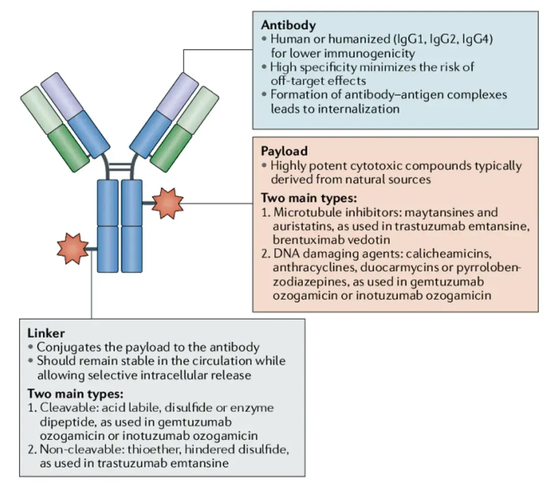一文看透“抗体偶联万物”——ADCs、RACs、ISACs、AdeCs、FDCs、AOCs、ACCs、ABCs - 知乎