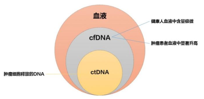 科普讲堂 | 关于cfDNA你了解它多少? - 知乎