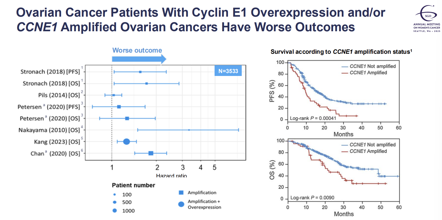 SGO2025：WEE1抑制剂Azenosertib在CCNE1阳性铂耐药卵巢癌中的疗效 - 知乎