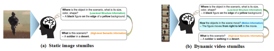 ICLR2025：脑机绘影，中科院自动化所Mind-Animator从大脑信号中解码出动态视频 - 知乎