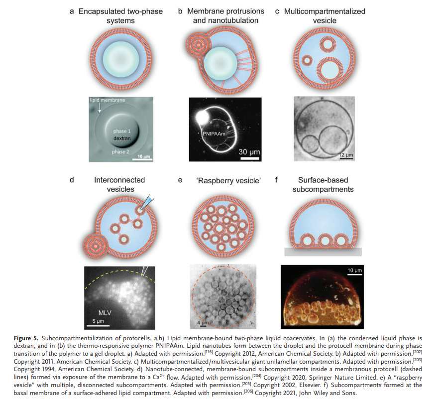 人类制造最简单的细胞的难度加人类制造最智能的电脑的难度是否等于最简单的细胞制造最智能的电脑的难度？ - 知乎