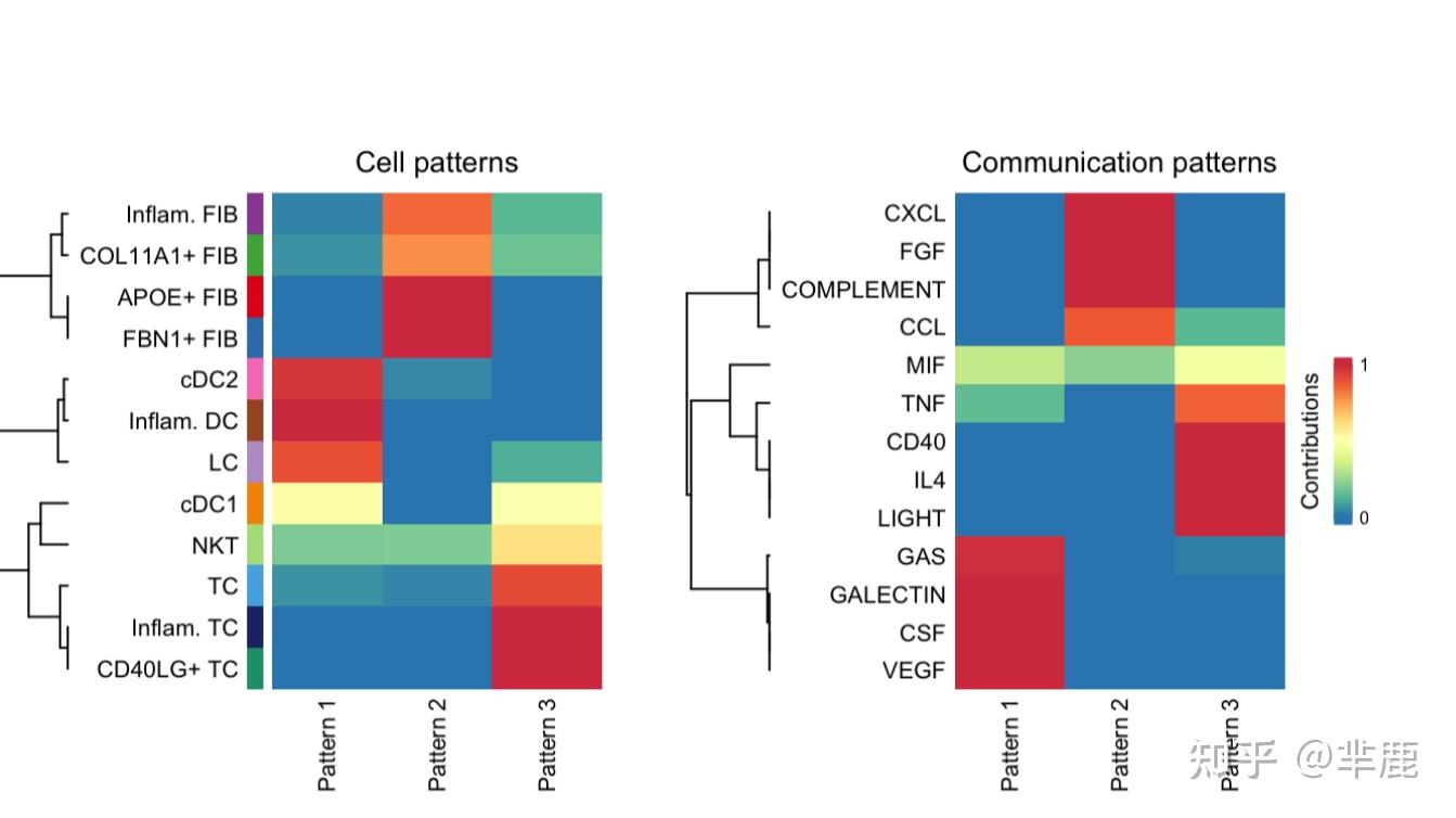 CellChat细胞通讯分析（中）--实操代码（单个样本） - 知乎