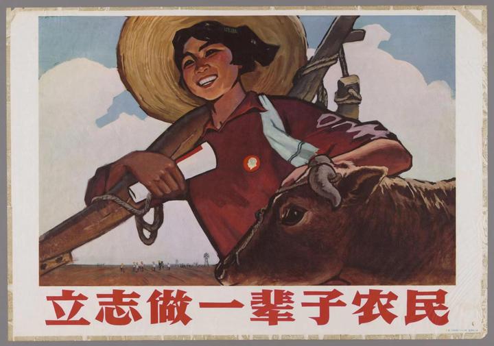 【译文连载】舒喜乐《红色革命与绿色革命》2 - 知乎