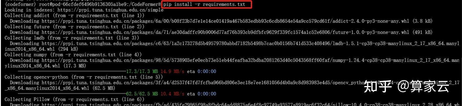 CodeFormer模型构建指南 - 知乎