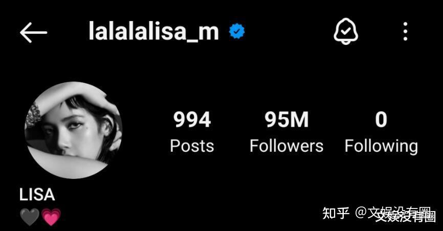 BLACKPINK之光！Lisa个人IG粉丝突破9500万，KPOP第一且唯一 - 知乎
