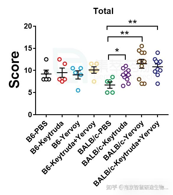 BALB/c小鼠通用知识 - 知乎
