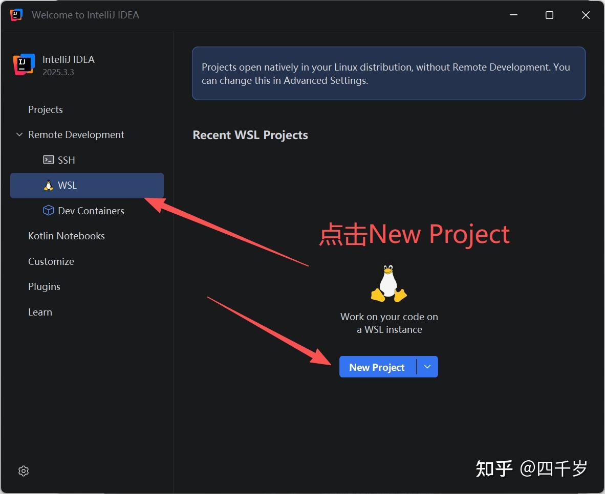 踩坑无数总结：IDEA+WSL 连接、配置、运行全攻略 - 知乎