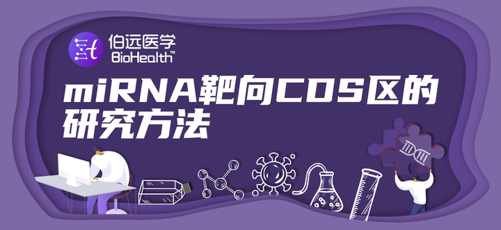 miRNA靶点位于mRNA CDS区的研究 - 知乎