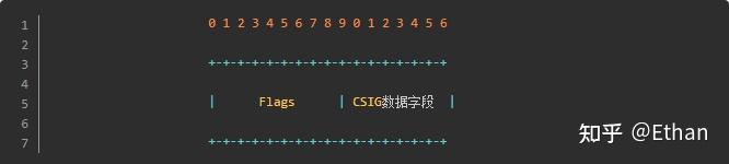 Google CSIG和阿里HPPC中的INT - 知乎