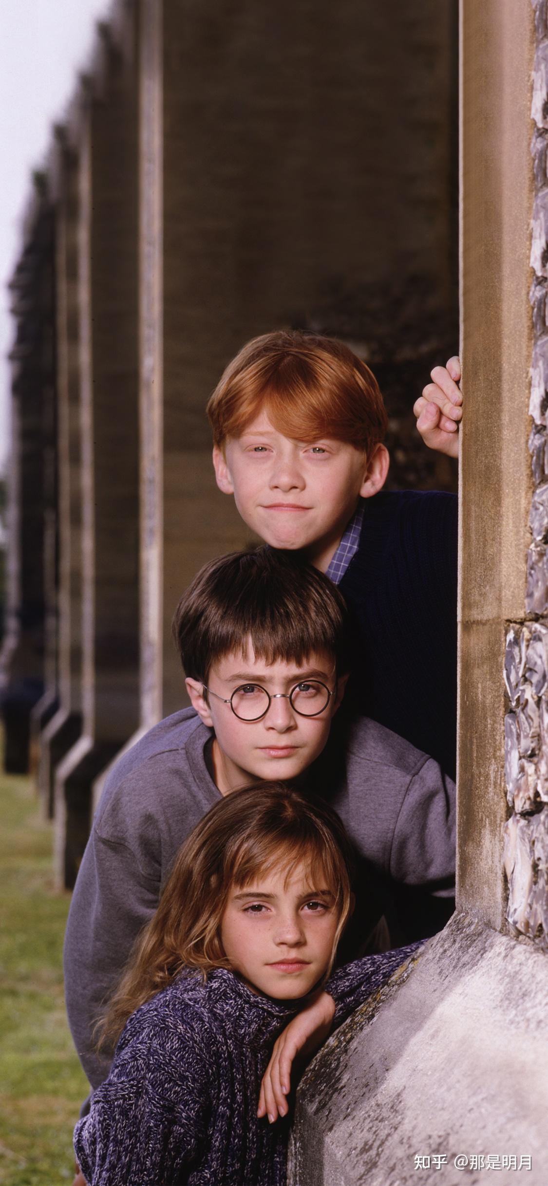 有大大有哈利波特里卢娜的壁纸吗？拼接的或者全面屏都行？ - 知乎