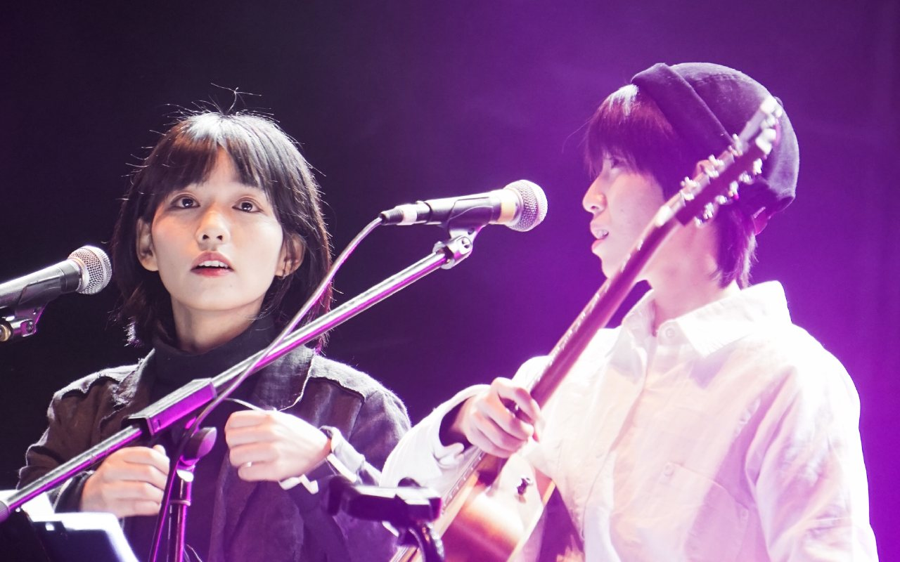 请给我房东的猫的高清无水印图好吗？ - 知乎