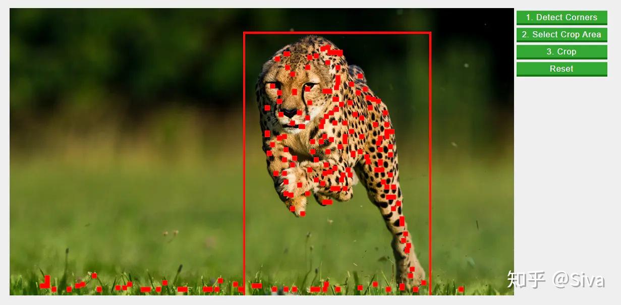 [译] 2020 十大 JavaScript 图像处理库 - 知乎