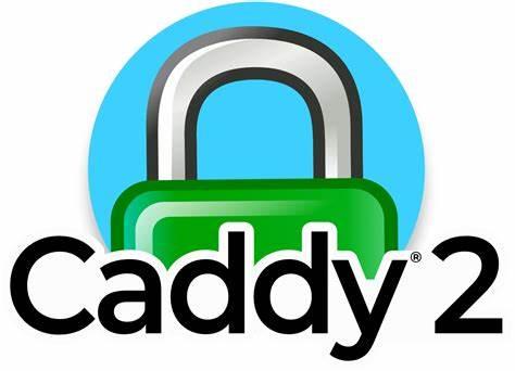 caddy 服务器的 Docker 镜像构建流程 - 知乎