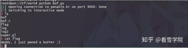 一步一步学pwntools - 知乎