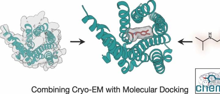 ChemEM 提升小分子与 cryo-EM 图谱对接的精度 - 知乎