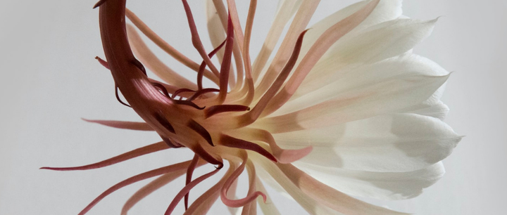 GENBEN根本，我们想做下一代健康食品公司 - 知乎