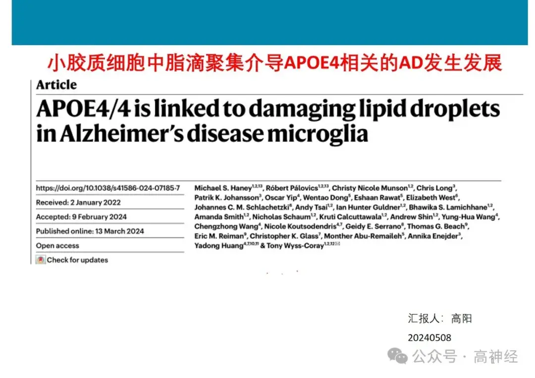 Nature：小胶质细胞中脂滴聚集介导APOE4相关的AD发生发展 - 知乎