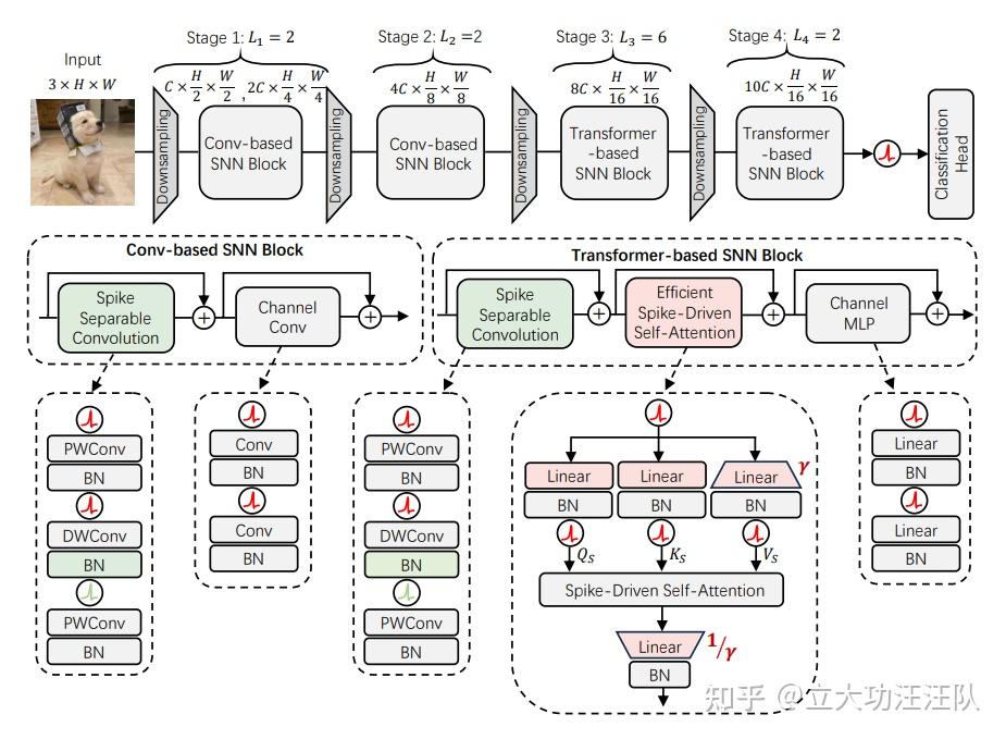 TPAMI 2024 | 基于脉冲驱动Transformer的高效且可扩展训练方法 - 知乎
