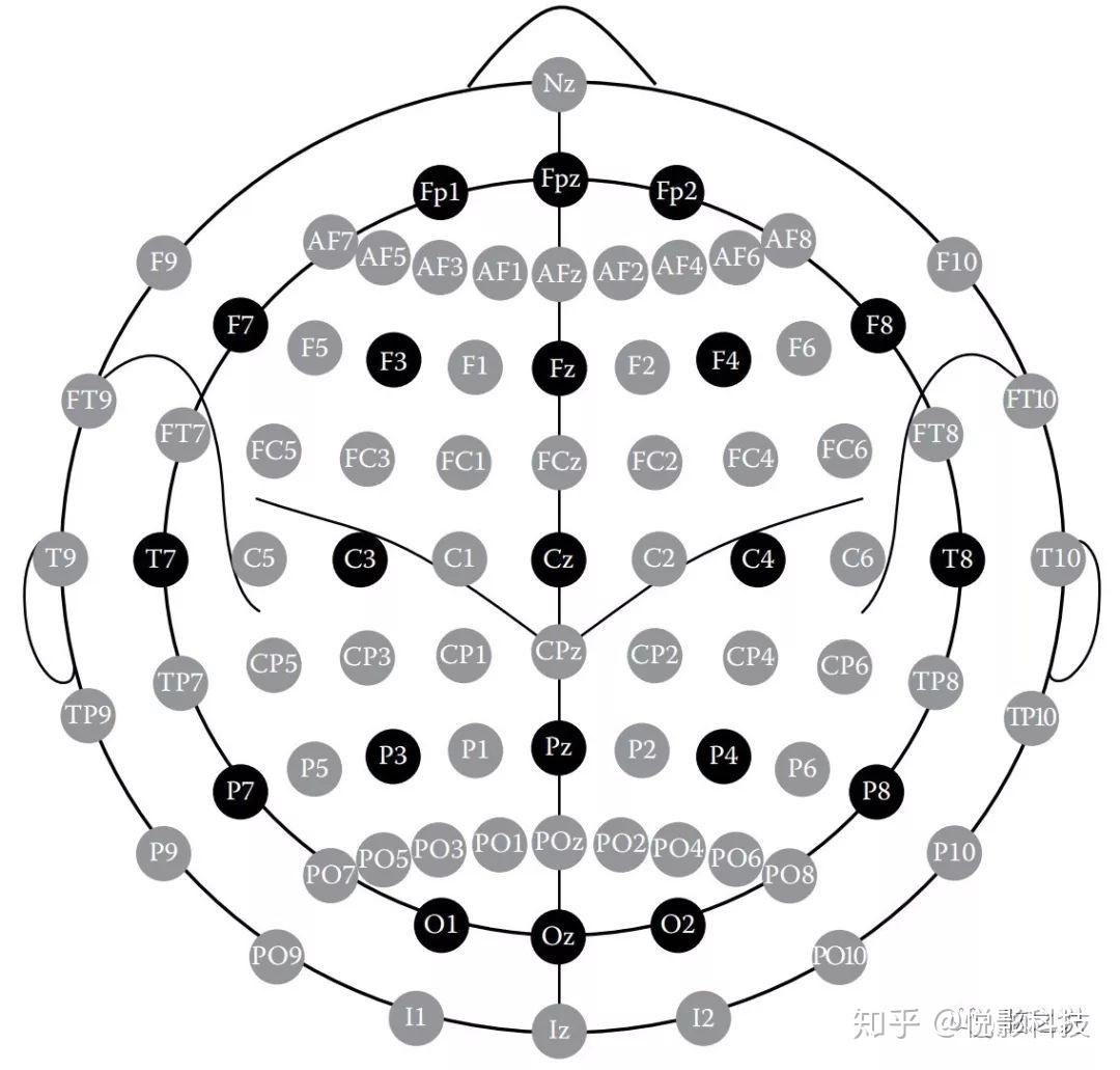 【EEG基础知识扫盲】EEG中的10-20和10-10标准导联是如何确定电极位置的？ - 知乎
