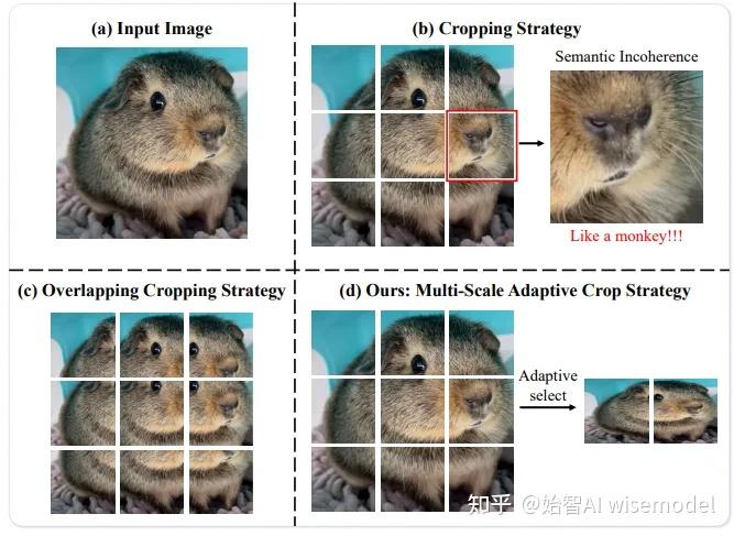 2B多模态新SOTA！华科等发布Mini-Monkey，专治「切分增大分辨率」后遗症 - 知乎