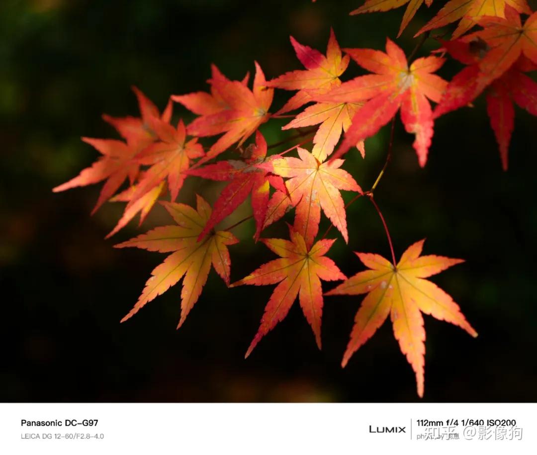 松下 LUMIX G97 - 知乎