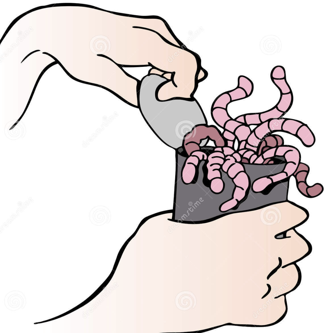 “Open a can of worms”是啥意思？ - 知乎