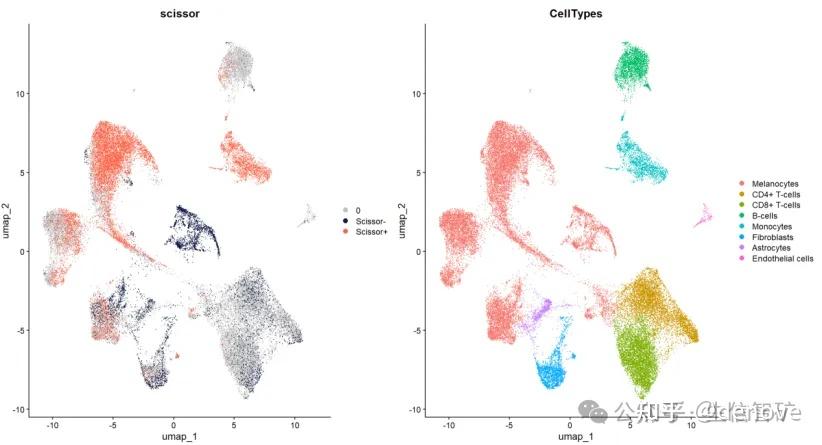 单细胞转录组代谢通路scMetabolism和表型分析Scissor - 知乎