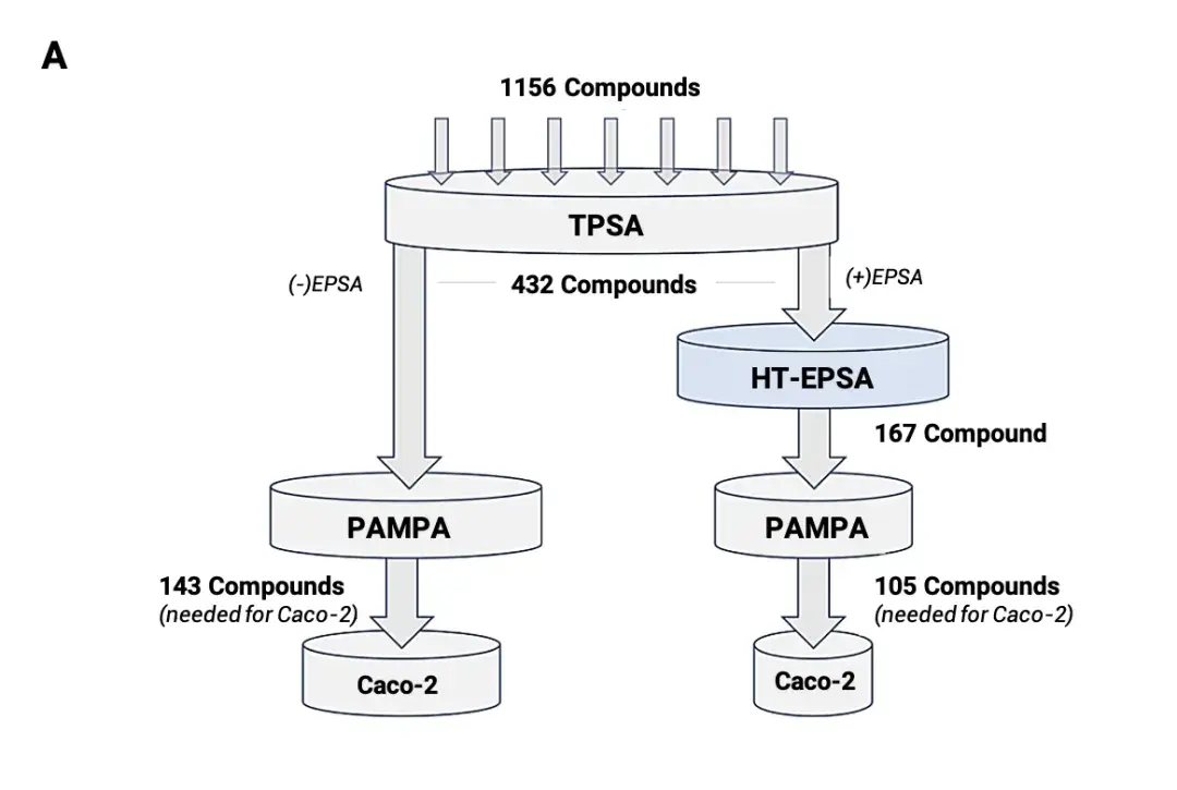 暴露极性表面积（EPSA）在药物早期筛选中的研究和应用 - 知乎