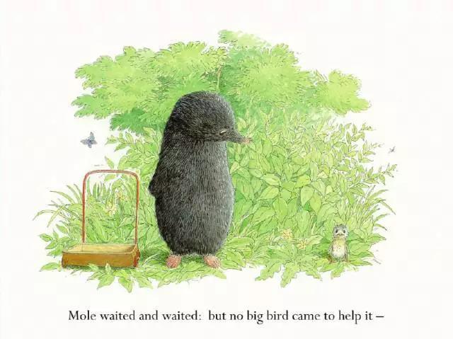 绘本故事 | Mole And The Baby Bird - 知乎