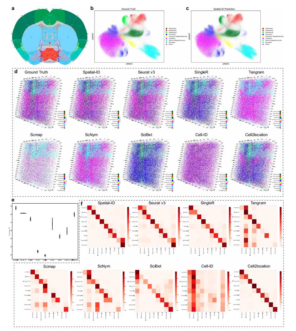 Nat Commun | Spatial-ID：通过迁移学习和空间嵌入进行空间高分辨转录组数据的细胞注释 - 知乎