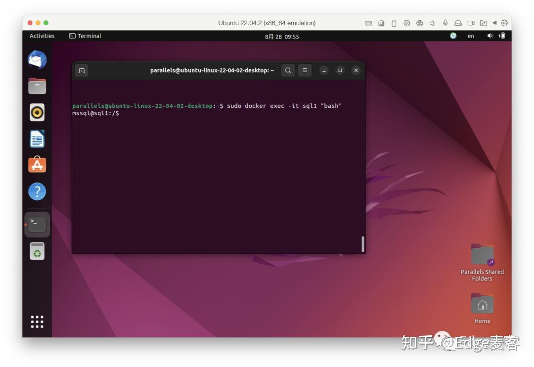 【PD19】安装Ubuntu 22.04 x86_64_emulation / 运行 MS-SQL Server for Linux - 知乎