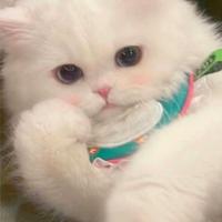 使用VScode+AsciiDoc+drawio+PlantUML设计文档真香 - 知乎